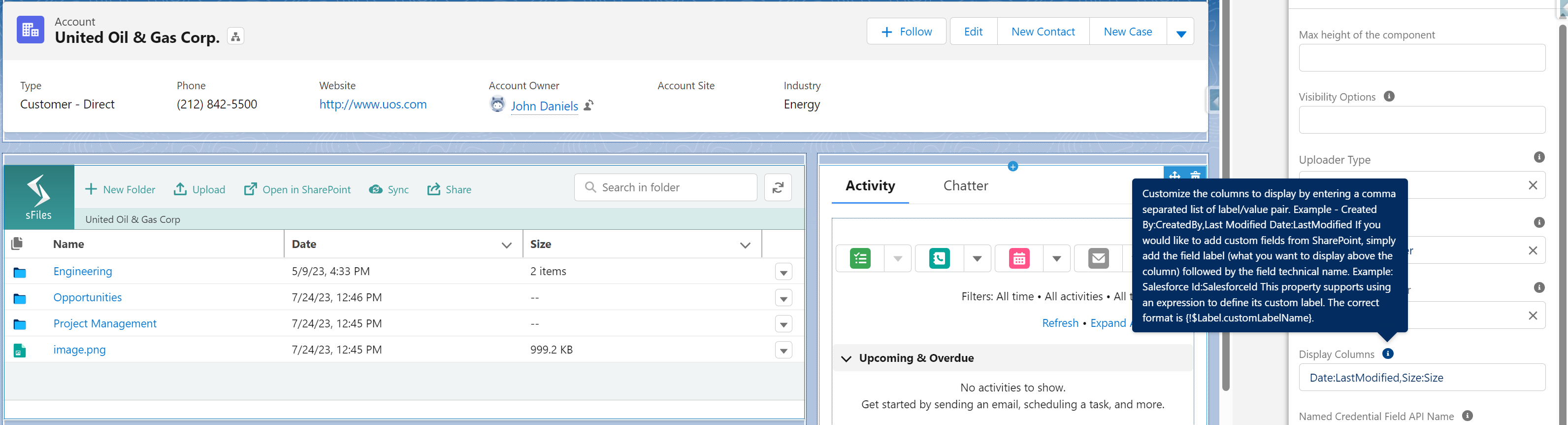 How To Display Custom Columns In The Sfiles Ui