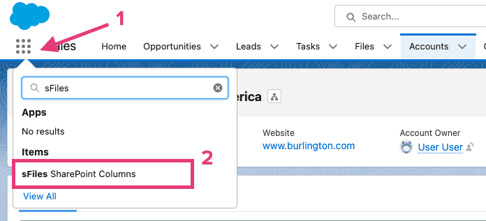 Manually Set Sharepoint Columns